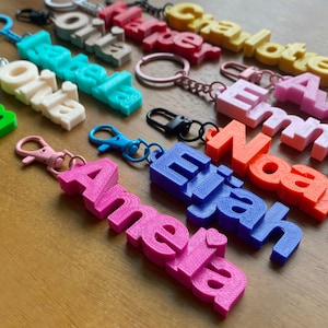 Bulk 5pcs 10pcs Customized Personalized 3D Printed Name Keychains ...