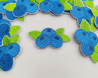 Blueberries Patch Custom Made - Etsy