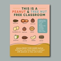 Nut Free Zone Poster Allergy Awareness Sign for Classrooms, Daycares ...