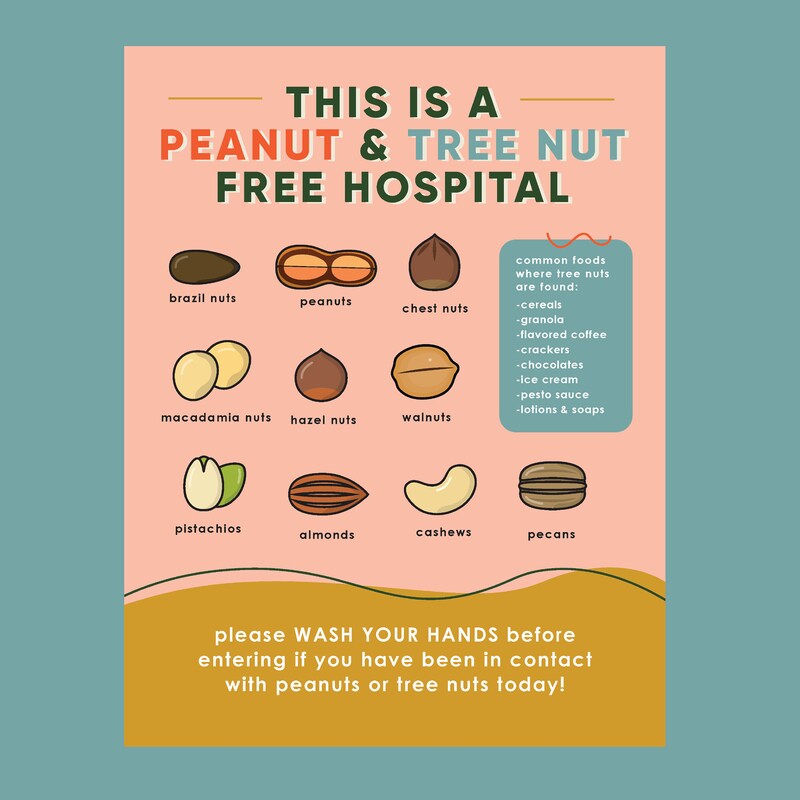Nut Free Zone Sign - Etsy