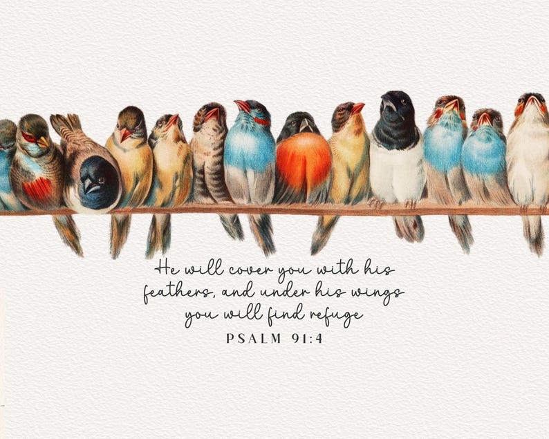 Psalm 91:4 Vintage Birds Bible Verse Unframed Canvas Wall Art Print ...