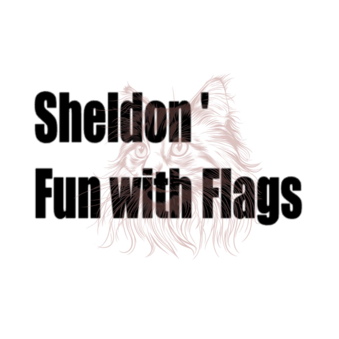 Sheldon Cooper Fun With Flags Vinyl Car Decal (cooper S Badge Not ...