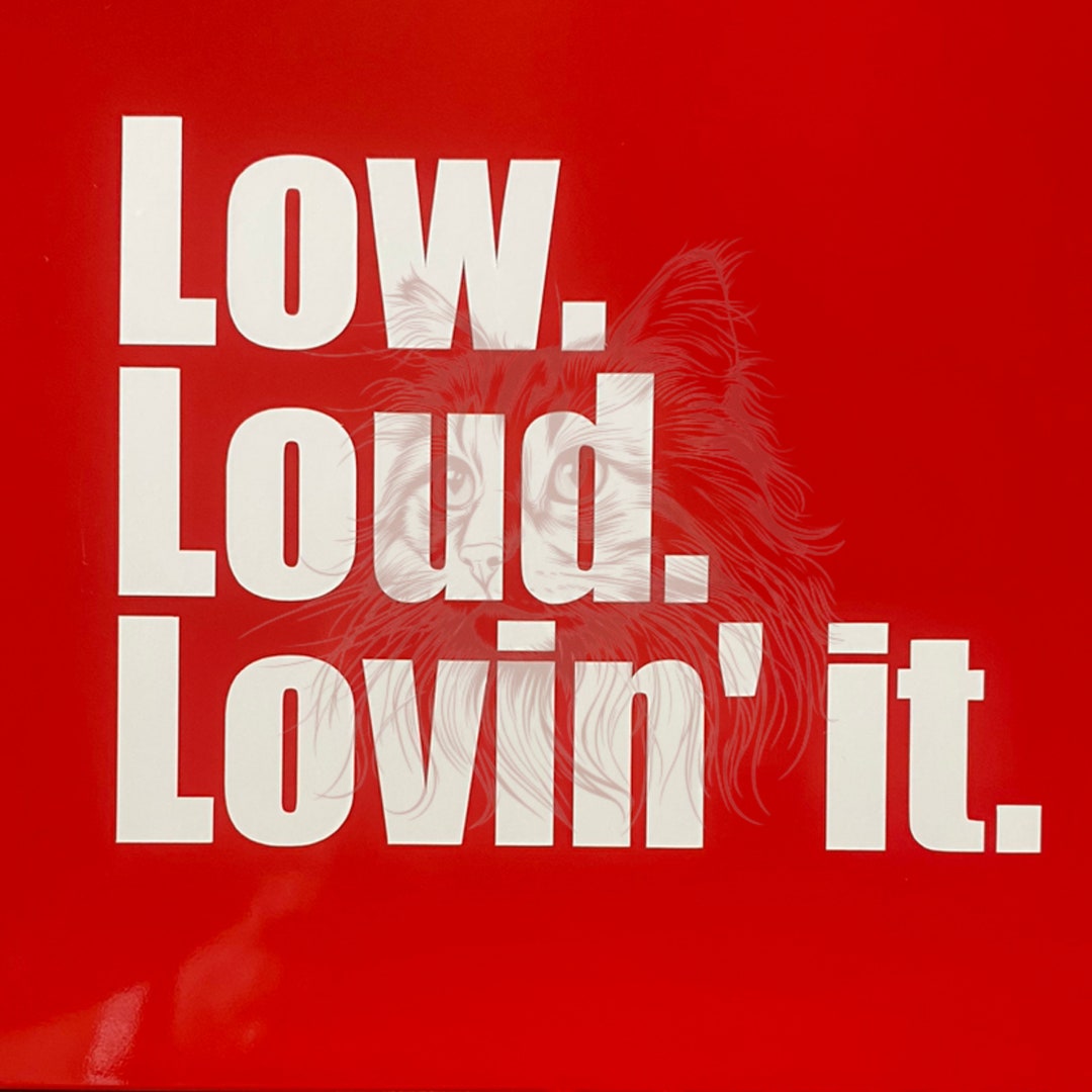 Low, Loud, Lovin' It Vinyl Car Decal - Etsy
