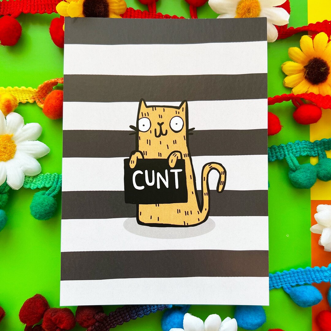 Cunt Sweary Cat A6 Postcard Offensive Funny Postcard Katie Abey - Etsy