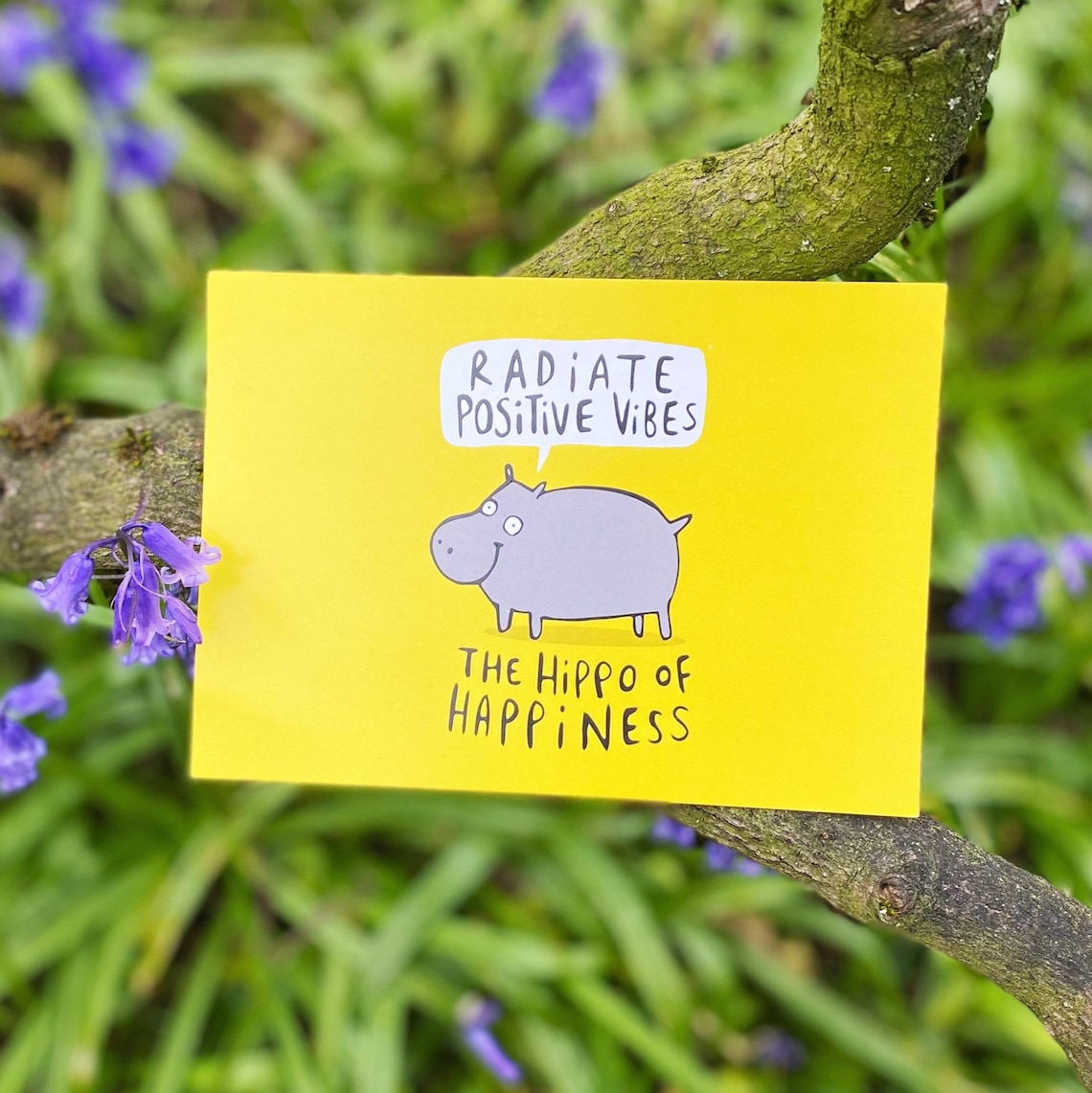 The Hippo of Happiness A6 Postcard Motivational Postcard - Etsy