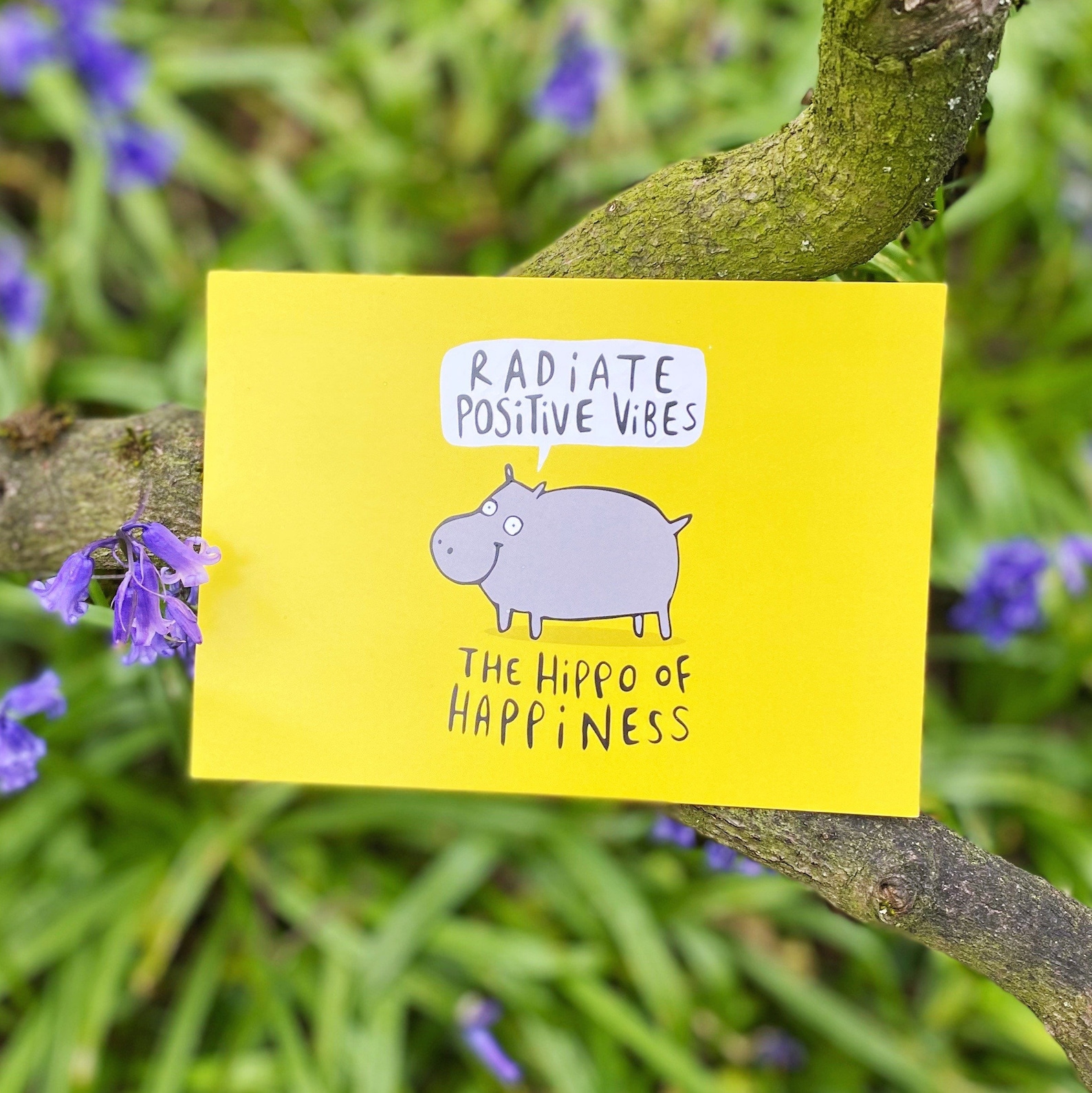 The Hippo of Happiness A6 Postcard Motivational Postcard - Etsy