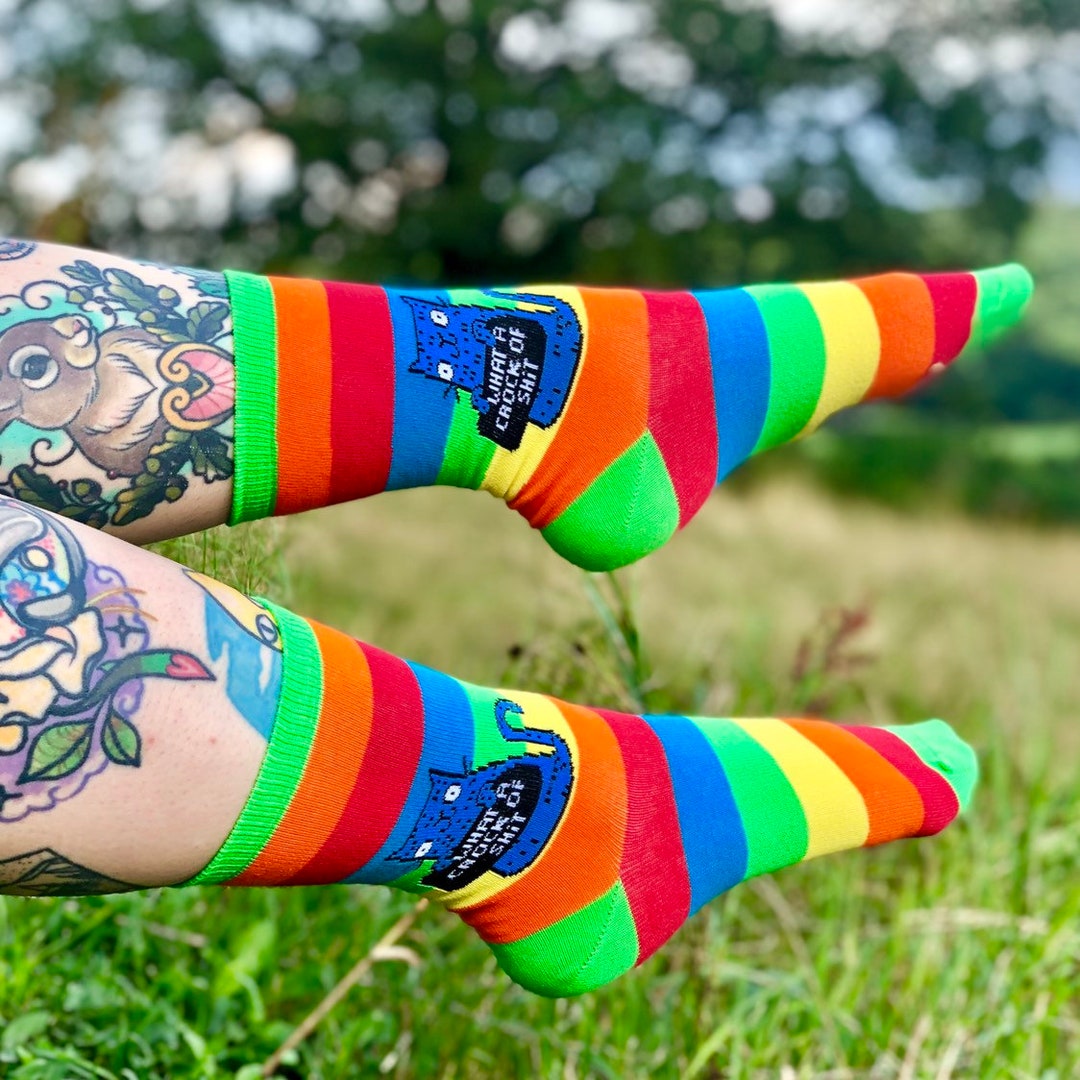 What A Crock of Shit Rainbow Socks Sweary Cat Socks Katie - Etsy