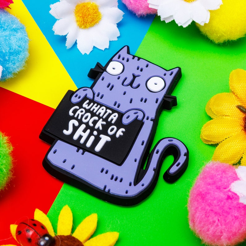 Sweary Rainbow Cats Fridge Magnet: Offensive Insult Gift - Etsy
