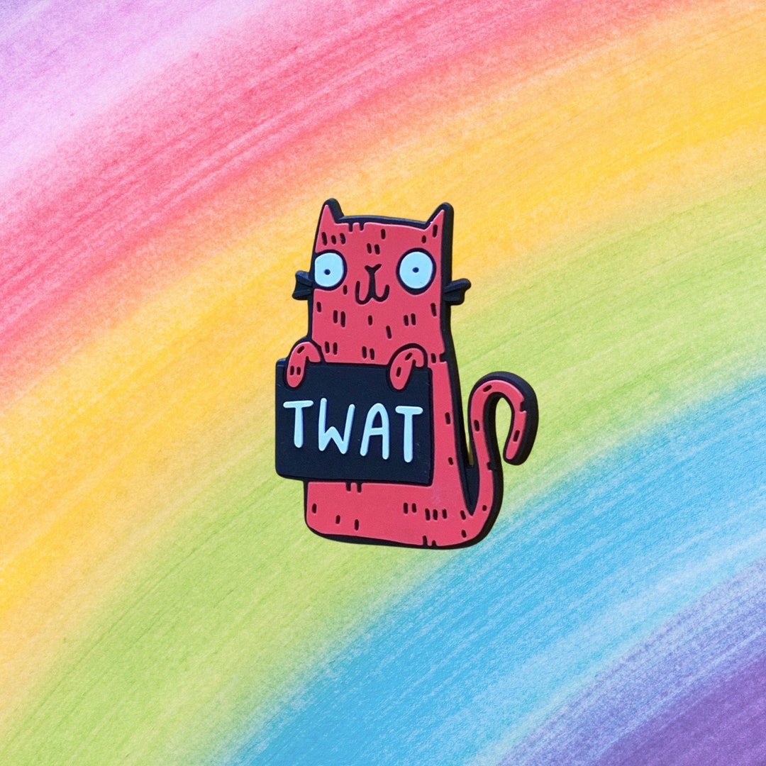 Twt Fridge Magnet Sweary Rainbow Cats Magnet Offensive - Etsy UK