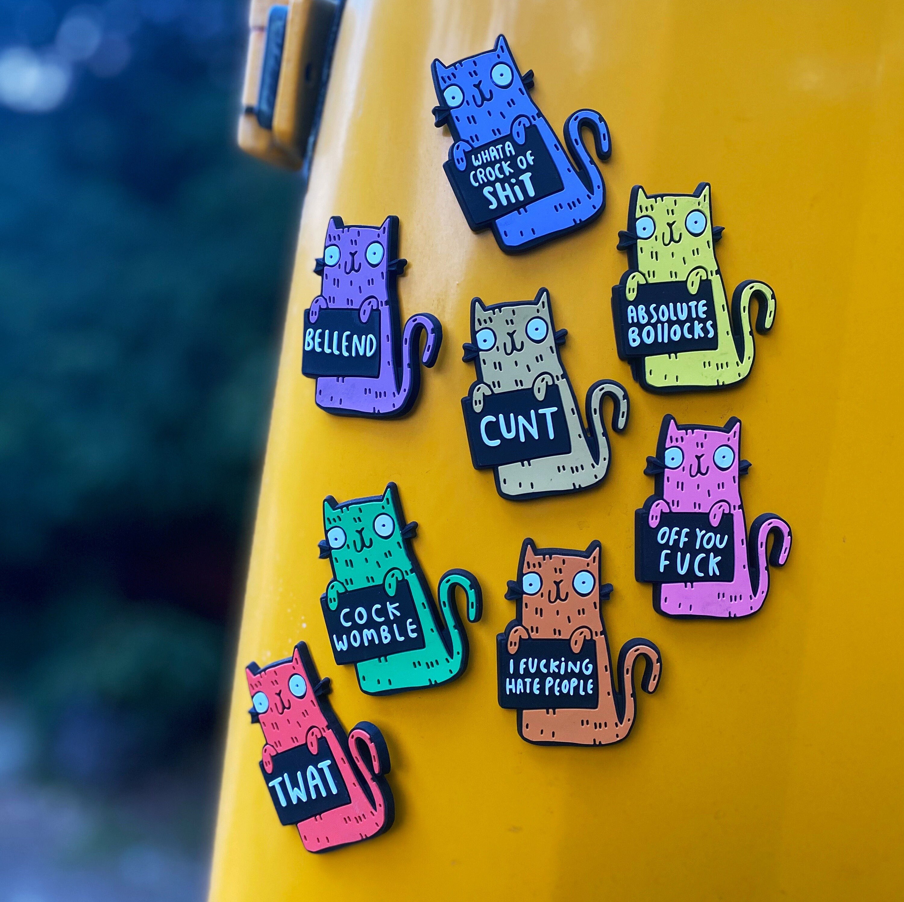 Absolute Bollocks Fridge Magnet Sweary Rainbow Cats - Etsy UK