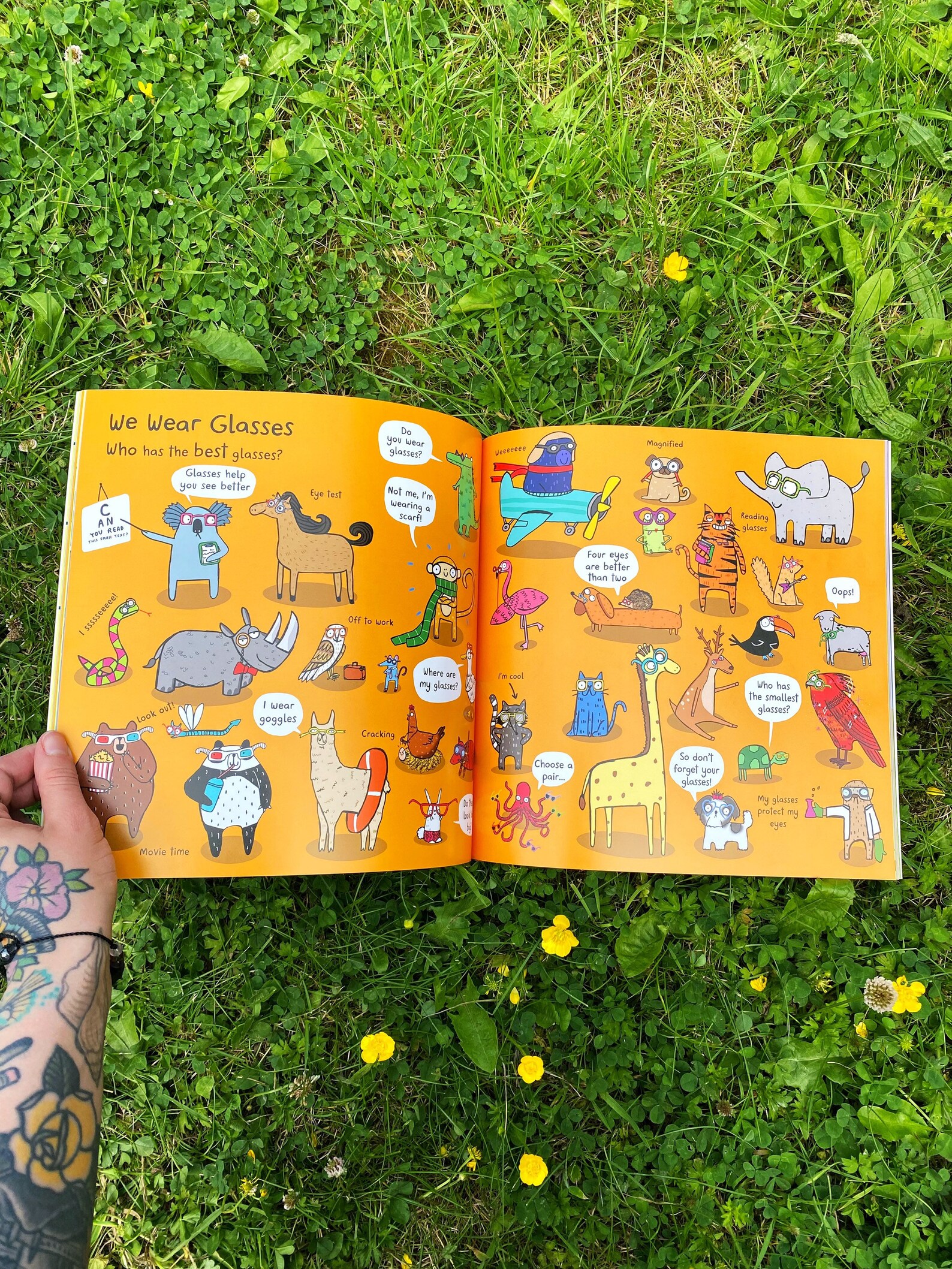 We Wear Pants Book by Katie Abey Picture Book Funny Book - Etsy UK