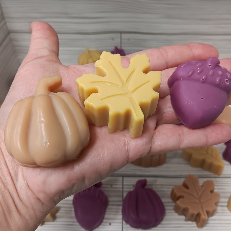 Fall Soap - Etsy