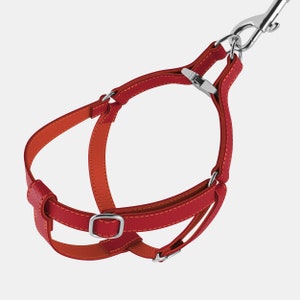 Leather Dog Harness Red and Coral Handmade Pet Harness Stylish Walking ...