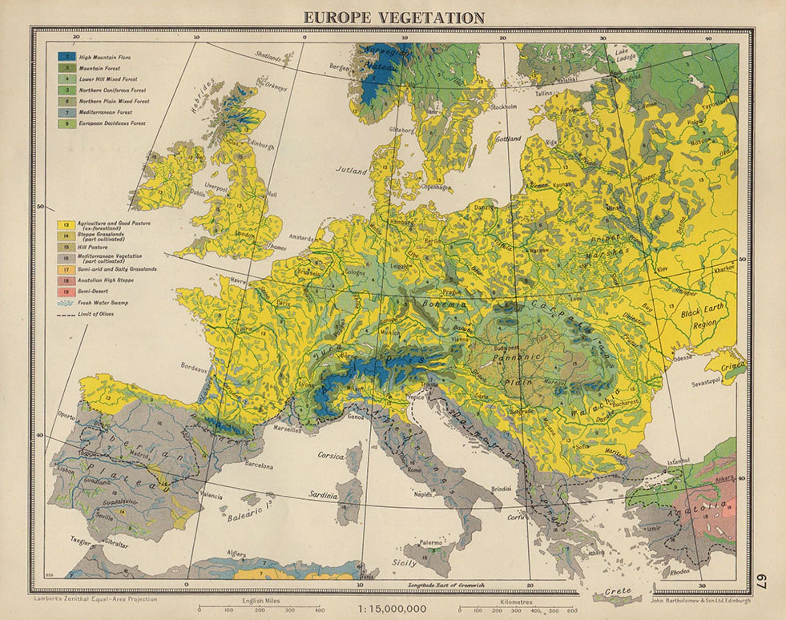 PFLANZEN EUROPA Vegetationskarte 1950 Ländern Nationen Atlas antike ...
