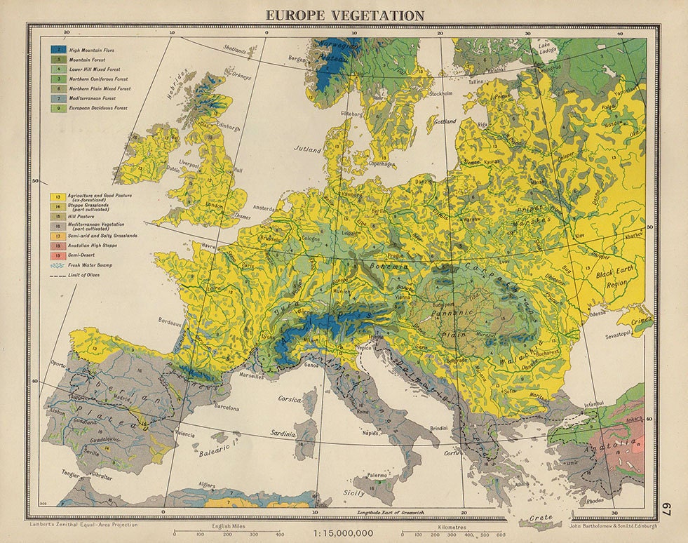 VEGETATION PLANTS EUROPE Map, 1950 Countries Nations Atlas Antique Map ...