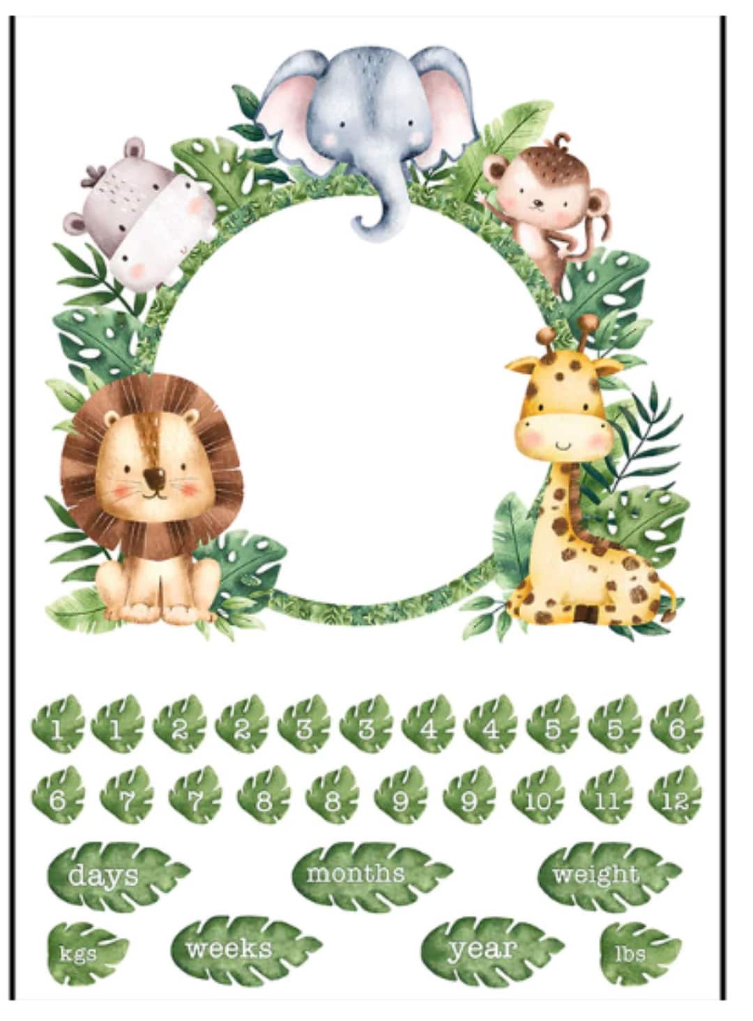 Wee Safari Milestone Panel 43x60 Childrens Cotton Fabric by Northcott ...