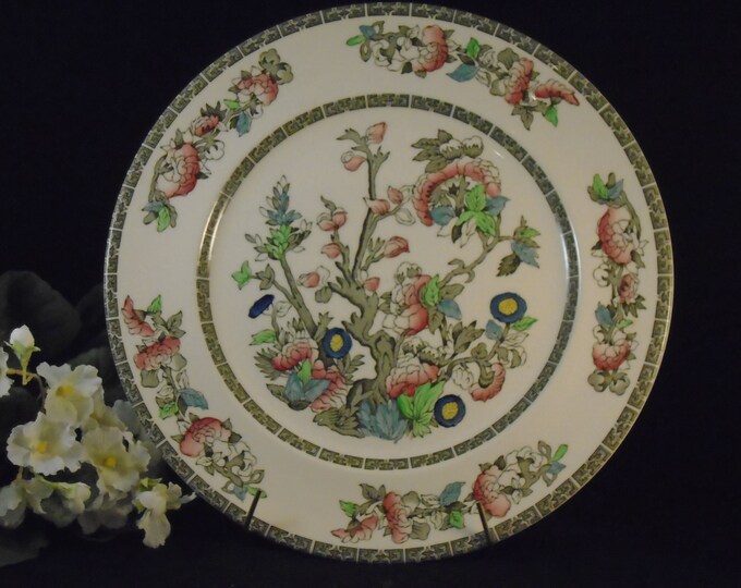 Indian Tree 10 Dinner Plate. by Johnson Bros. Tree & - Etsy