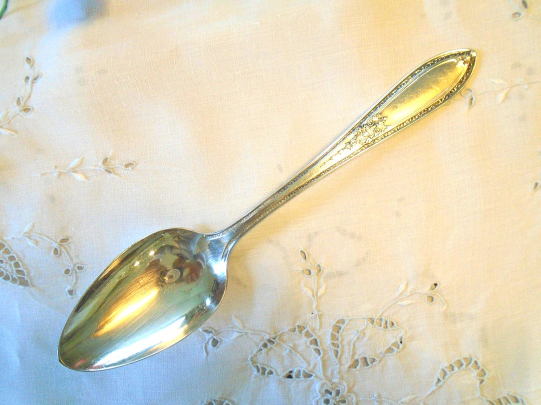 WM. Rogers Silverplate Serving Spoon, Sectional Pattern. 8.25 ...