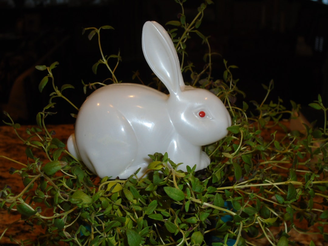 Friction Plastic Toy Bunny Rabbit, Made in Hong Kong. Vintage and ...