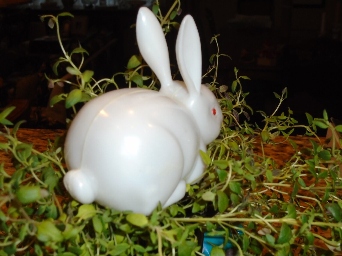 Friction Plastic Toy Bunny Rabbit Made in Hong Kong. Vintage | Etsy