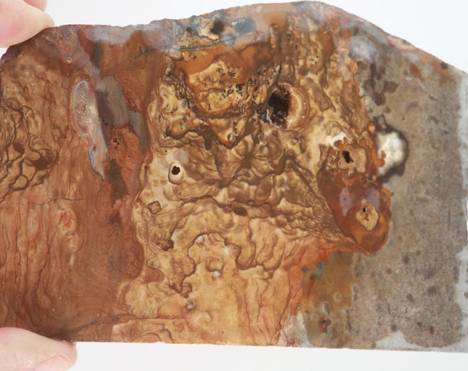 Biggs Picture Jasper Slab - Etsy