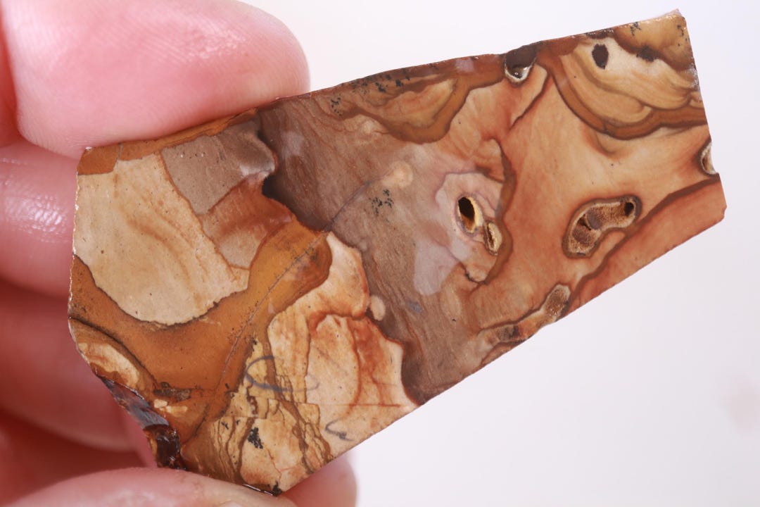 Biggs Picture Jasper Preform Cabochon - Landscape Jasper - Scenic ...