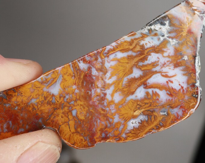 Polished Wingate Pass Plume Preform Tumbled Polished Highly Agatized ...