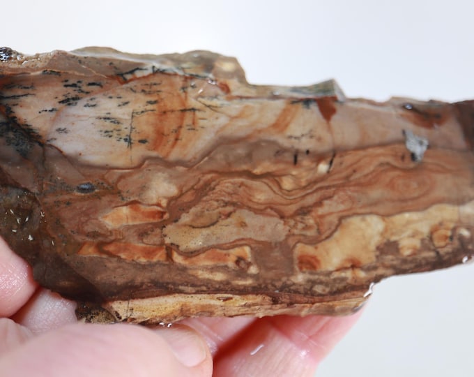 Biggs Picture Jasper Slab - Etsy