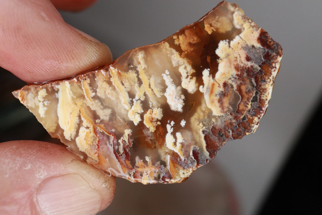Feather Ridge Plume Agate Preform Cabochon - Etsy