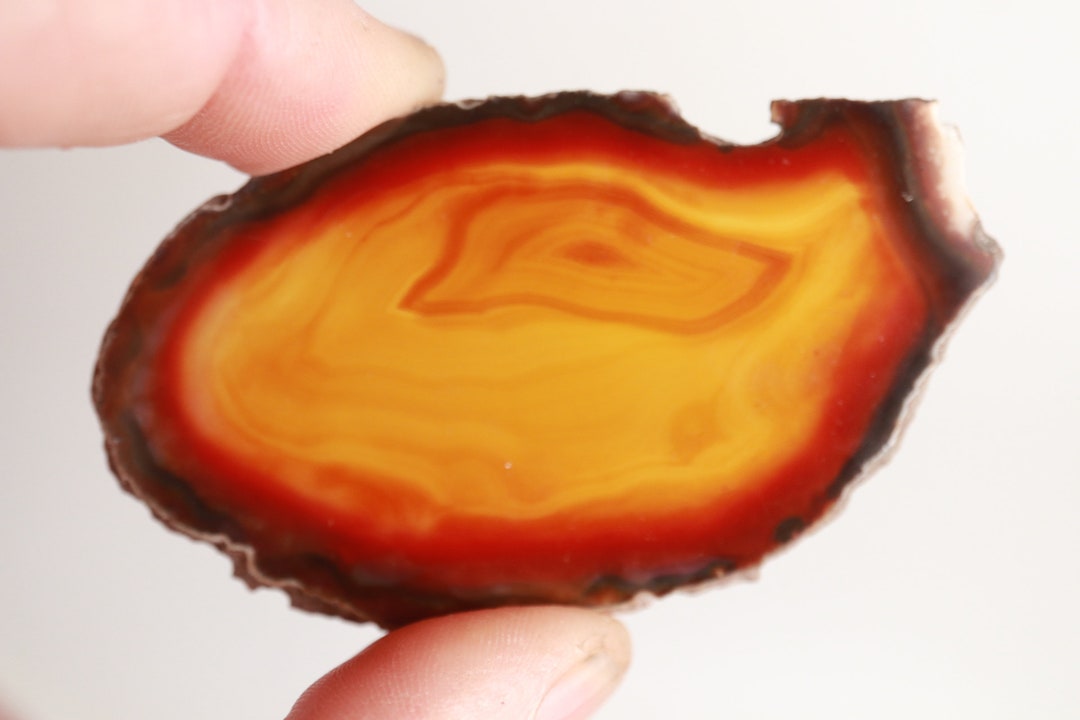 Polished Brazilian Agate Specimen Slab - Tortoise Shell Pattern - Etsy