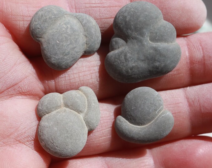 Fairy Stone - Calcite Concretion Ring Size Set of 4 - Etsy