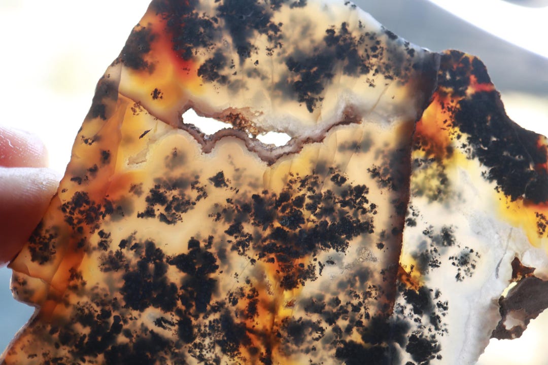 Dendritic Agate Slab - Etsy
