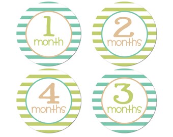 Baby Monthly Stickers Iron On Transfer DIGITAL Print at | Etsy
