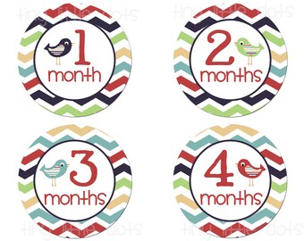 Baby Monthly Stickers Iron On Transfer DIGITAL Print at | Etsy