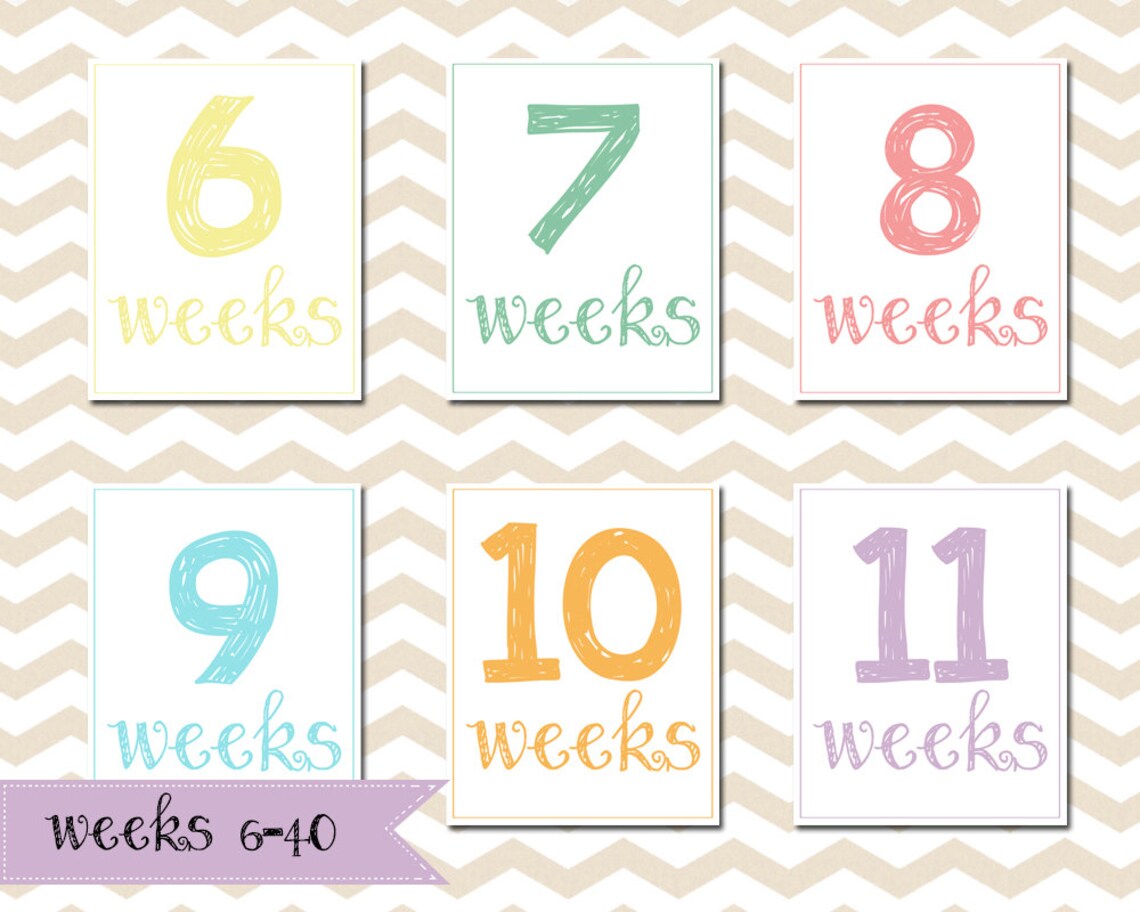 Weekly Pregnancy Signs / 8x10 DIGITAL Printable Maternity | Etsy