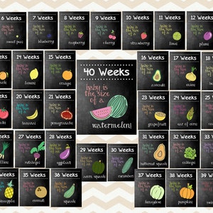 Weekly Pregnancy Chalkboard Baby is the Size of A.... Every Week ...