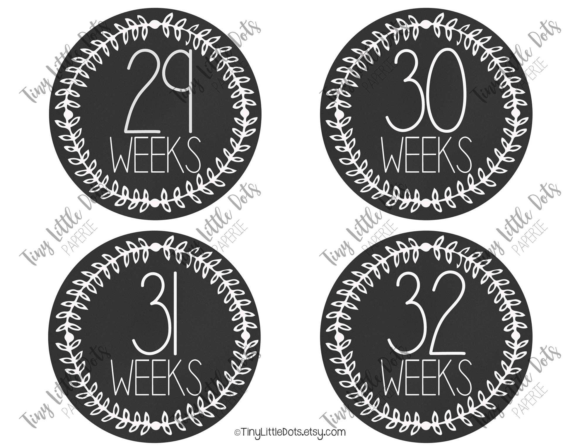 Weekly Pregnancy Chalkboard Stickers DIGITAL / Iron on | Etsy