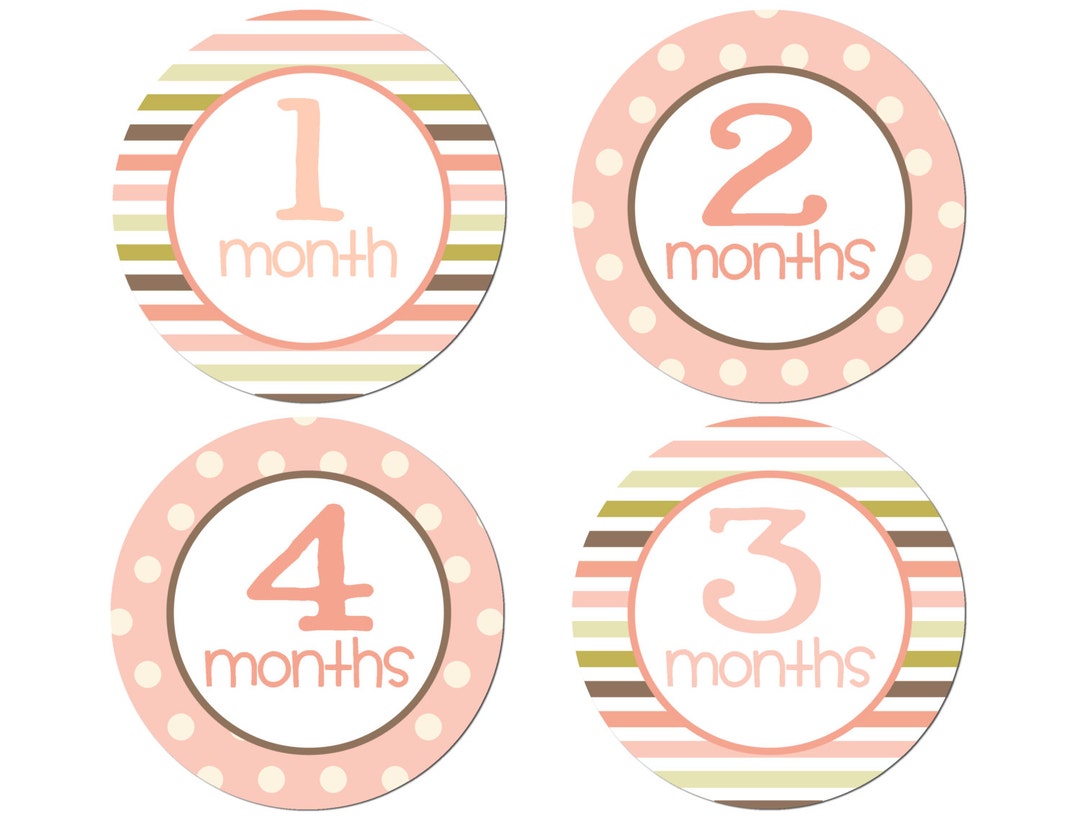 Baby Monthly Stickers - Iron on Transfer - DIGITAL Print at Home ...