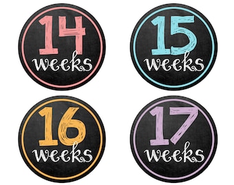 Pregnancy Planner Stickers PRINTABLE Instant Download DIY - Etsy