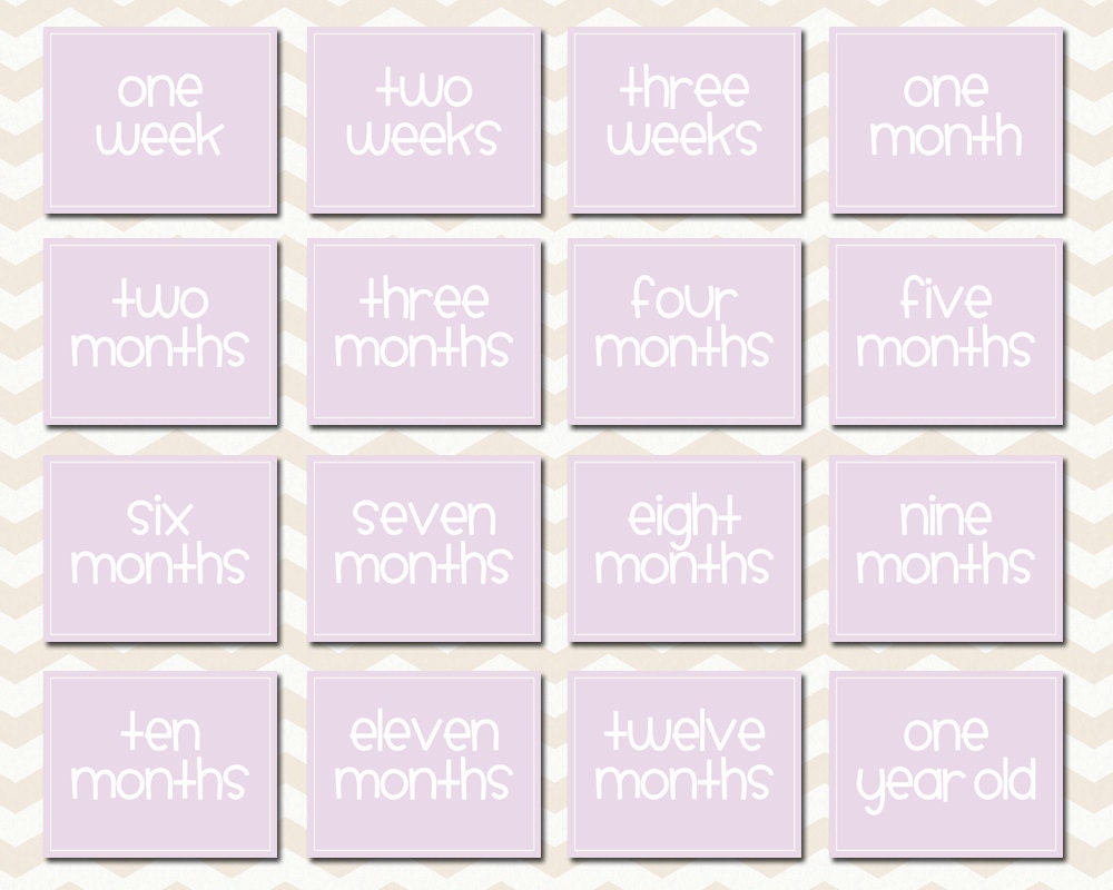 Baby Monthly Signs Lavender / Baby's First Year / 8x10 Printable ...