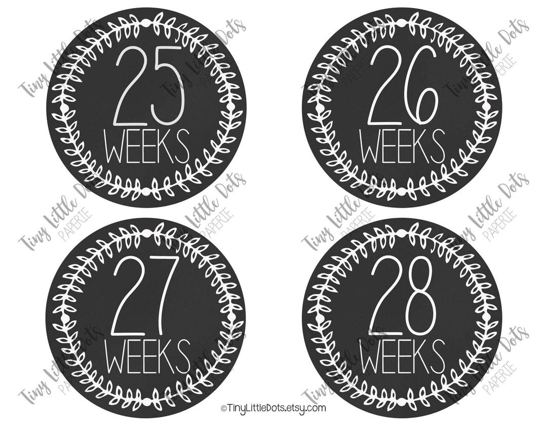 Weekly Pregnancy Chalkboard Stickers DIGITAL / Iron on Transfer ...