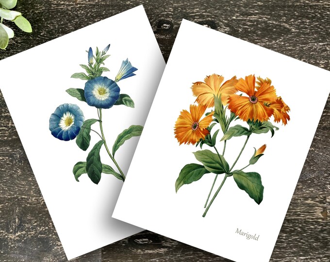 Watercolor Wildflower Notecards With Envelopes, Floral Cards ...