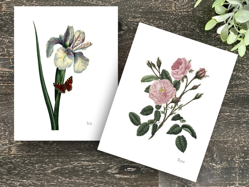 Vintage Flower Stationery 12 Note Cards & Envelopes Watercolor - Etsy