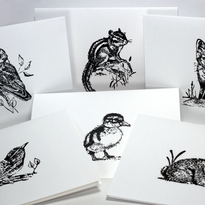 Wildlife Variety Christmas Cards - Etsy