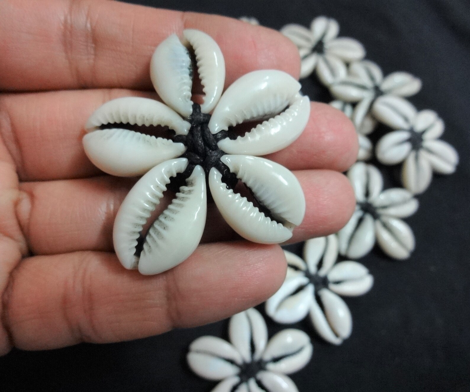 Cowry Shell Motifs Cowry Shell Rosettes Cowrie Appliques - Etsy India