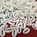 Cowry Shells, Acrylic Cowrie Beads, Decorative Beads, Indian Craft ...