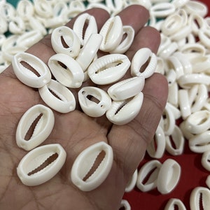 Cowry Shells, Acrylic Cowrie Beads, Decorative Beads, Indian Craft ...