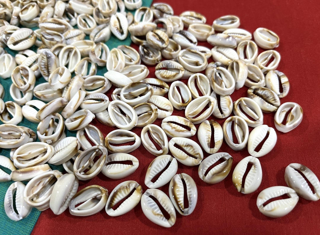 Cowry Shells, Acrylic Cowrie Beads, Decorative Beads, Indian Craft ...