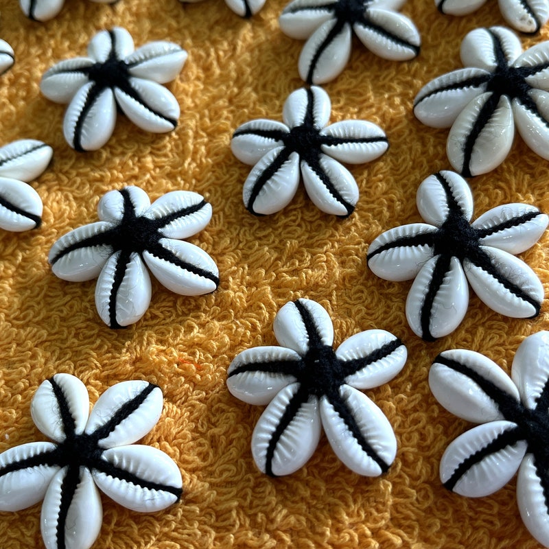 Cut Cowry Shells - Etsy