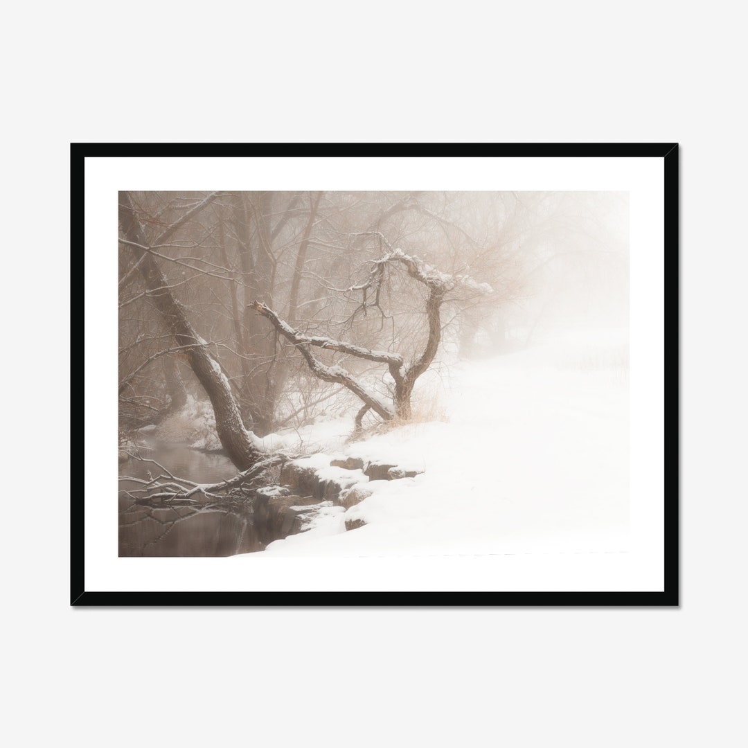 Forest Fog - Fine Art Landscape Photography Print - Wall Decor - Etsy